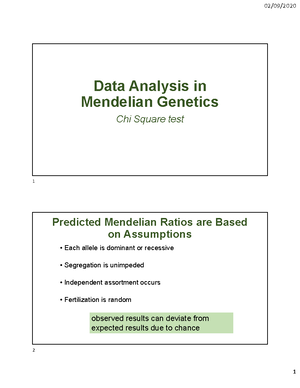 Practice Problems in Mendelian Genetics - Practice Problems in ...