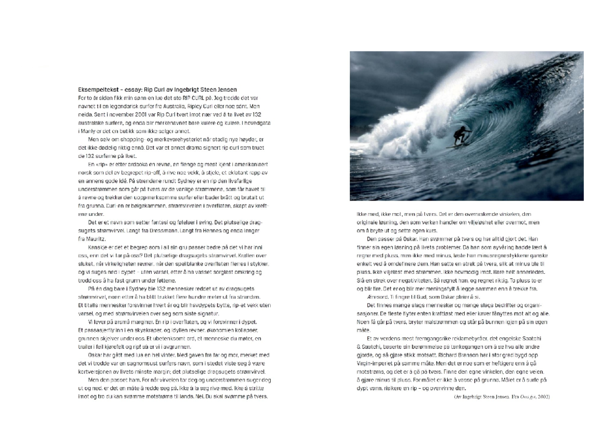 Rip Curl (essay) - Studocu