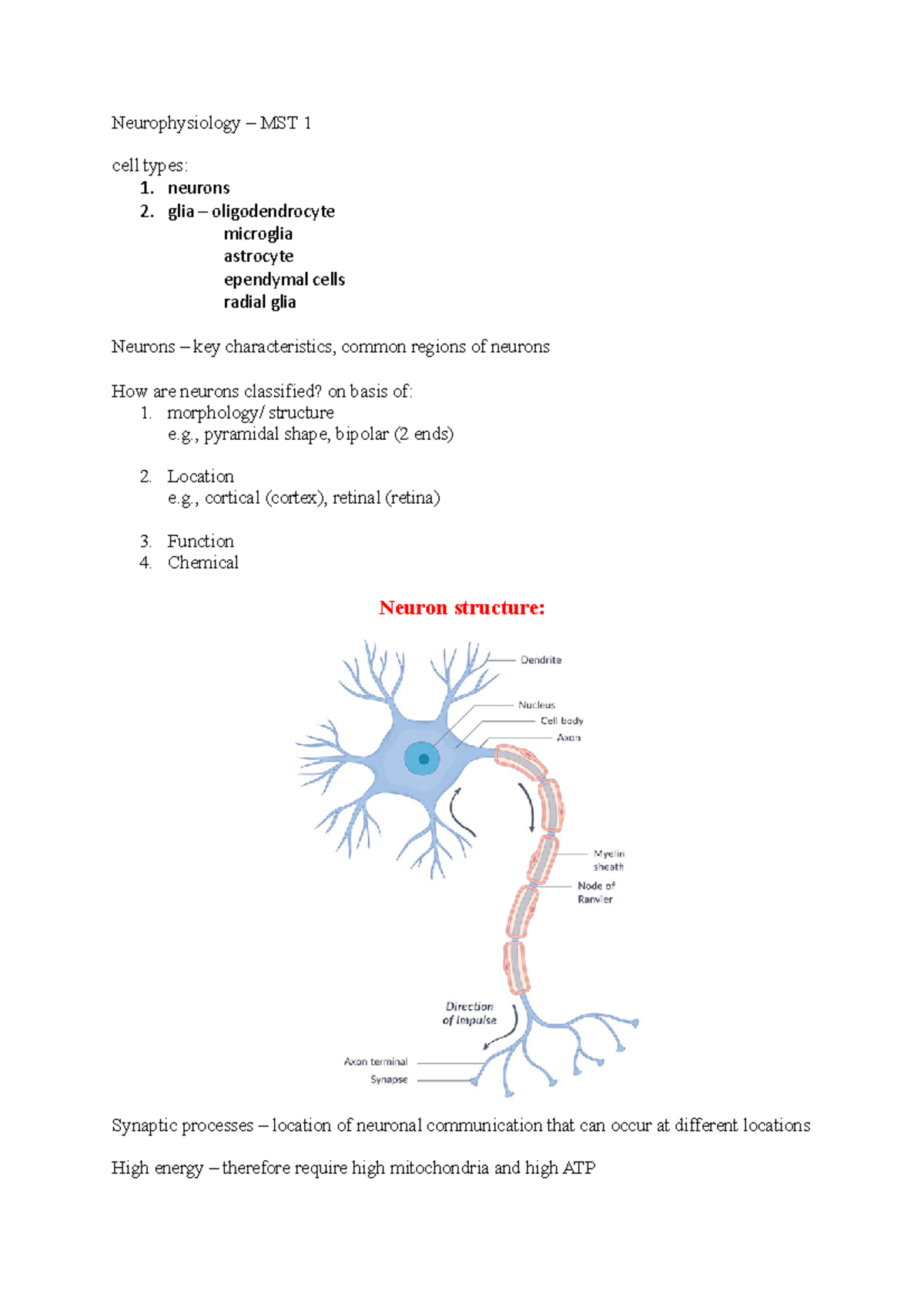 WK 1-4 - Lecture notes Wk 1-4 - Neurophysiology – MST 1 cell types: 1 ...