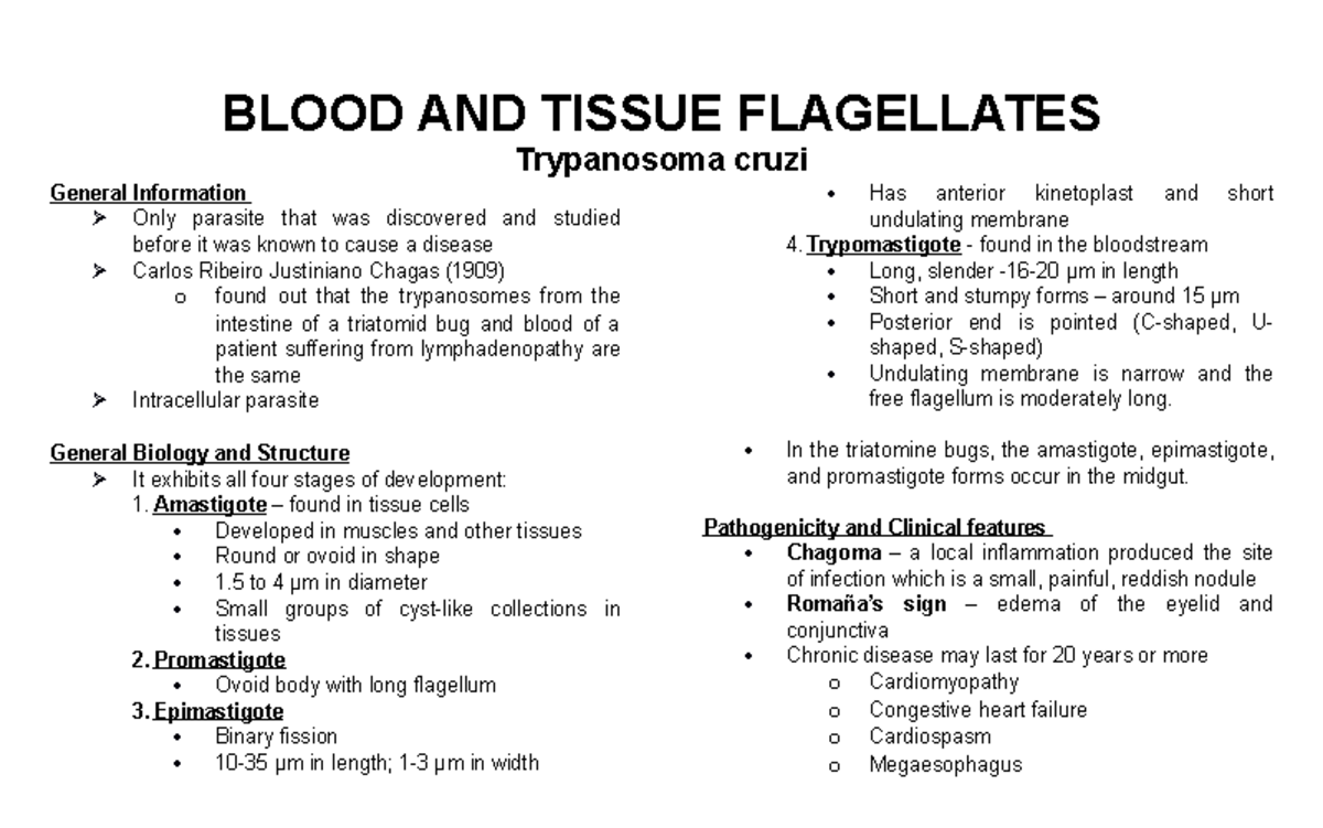 Blood and Tissue Flagellates - Trypanosoma cruzi General Information ...