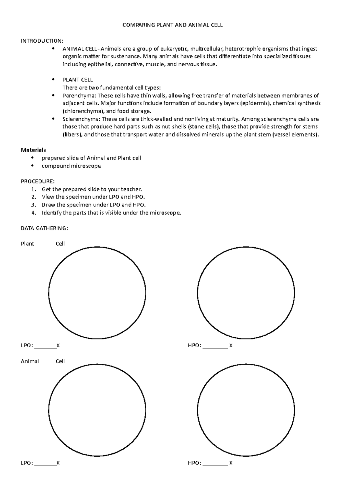 Comparing Plant AND Animal CELL - COMPARING PLANT AND ANIMAL CELL ...