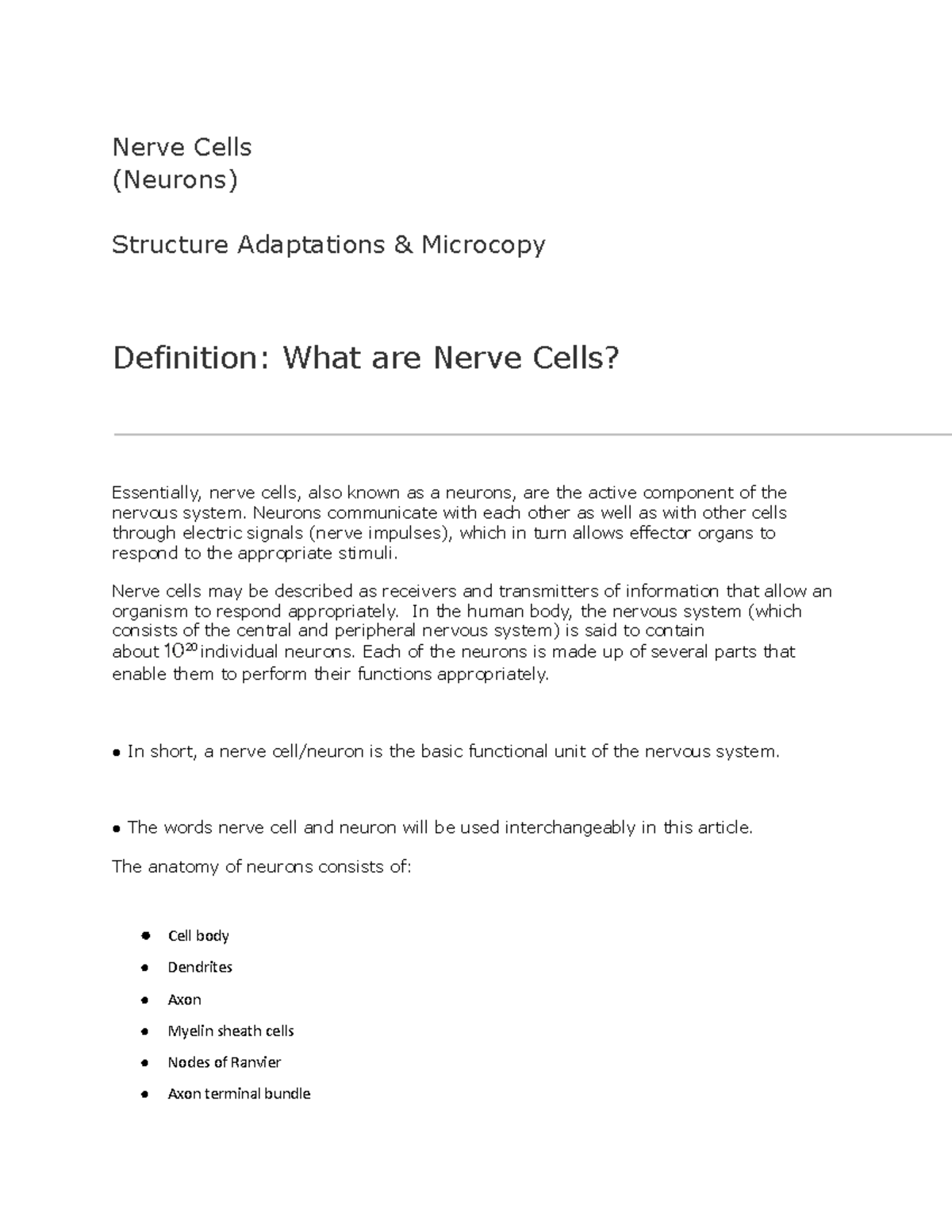 Document -neurons - Nerve Cells (Neurons) Structure Adaptations ...