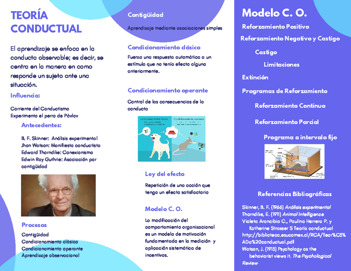 Teoría Conductual - Apuntes 10 - TEORÍA CONDUCTUAL El aprendizaje se ...