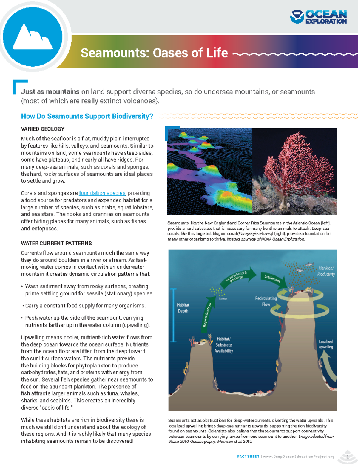 6.4 Seamounts as Oasis of Life - FACTS H E E T | w w w. D e e p O c e a ...