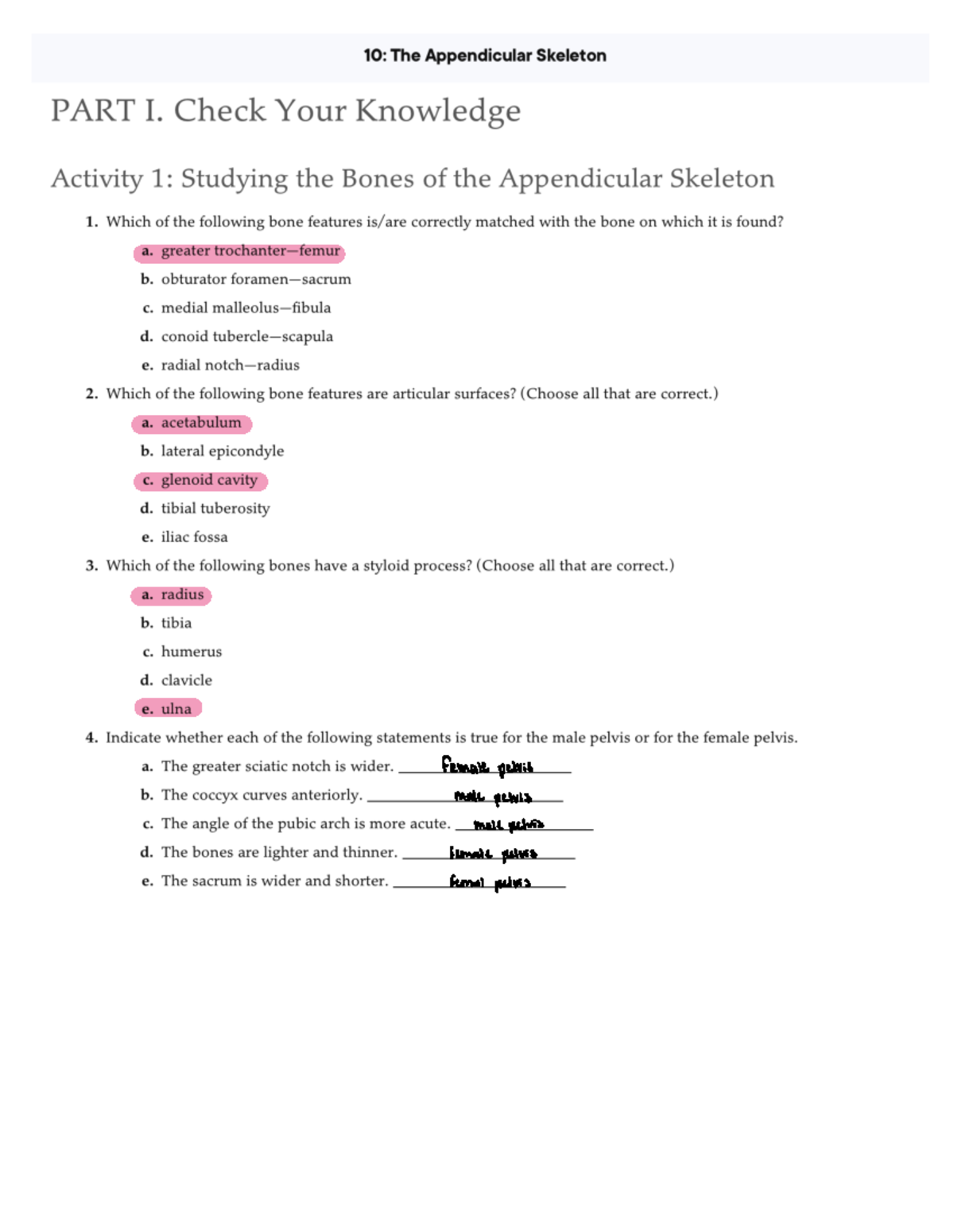 Unit 10 Post Lab Assignments - 10: The Appendicular Skeleton PART I ...