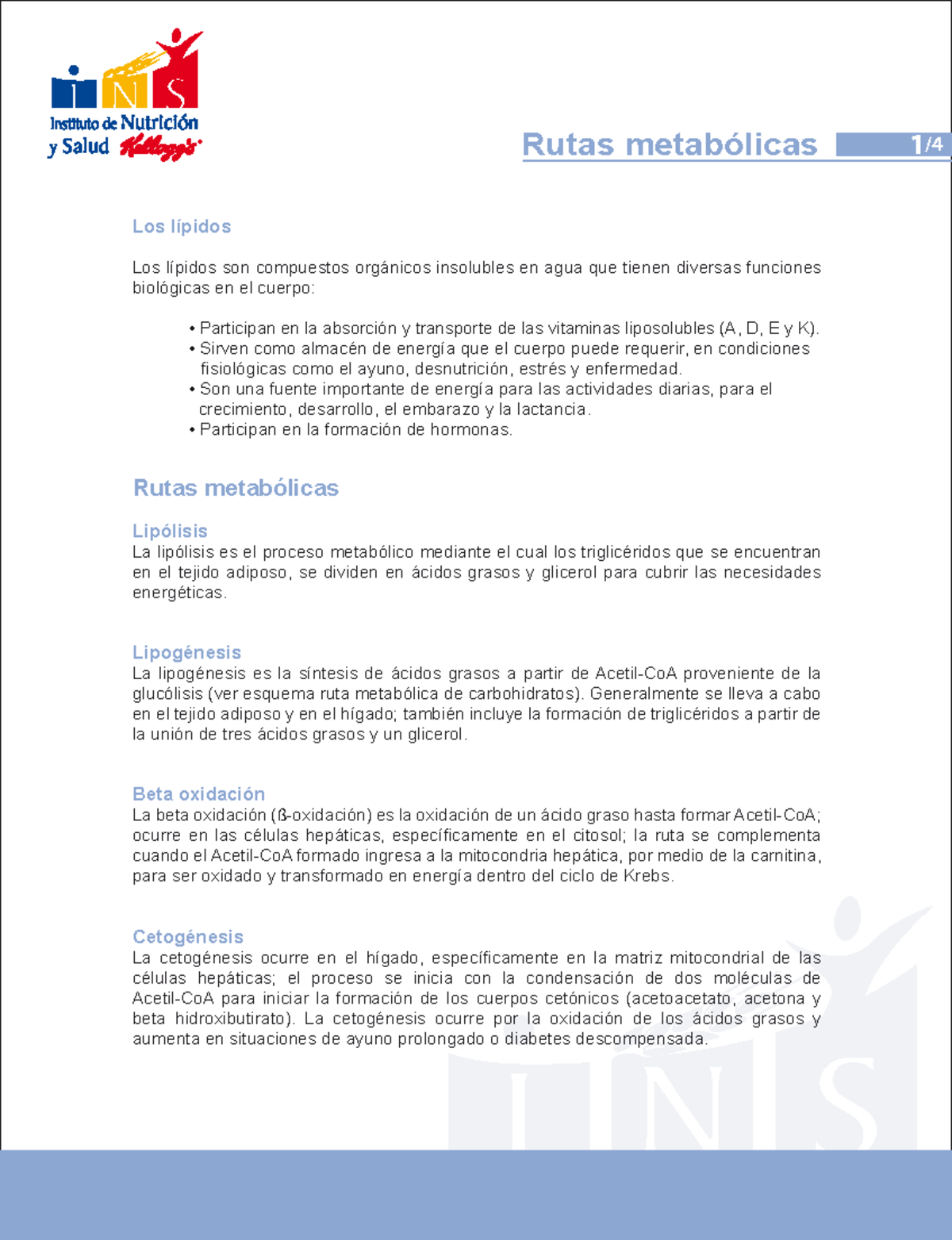 Rutas metabolicas Lipidos - Rutas metabÛlicas 1 / Los lÌpidos Los lÌpidos son compuestos org ...