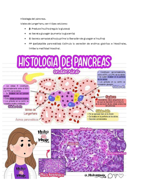 Diabetes Tipo 1 Páncreas Histología