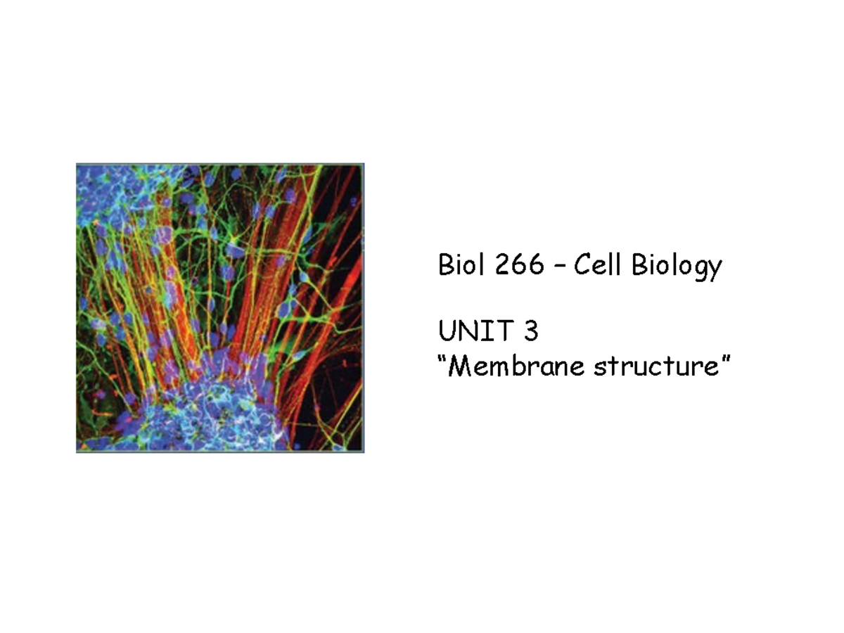 UNIT 3 - Unit 3 - Biol 266 – Cell Biology UNIT 3 “Membrane structure ...