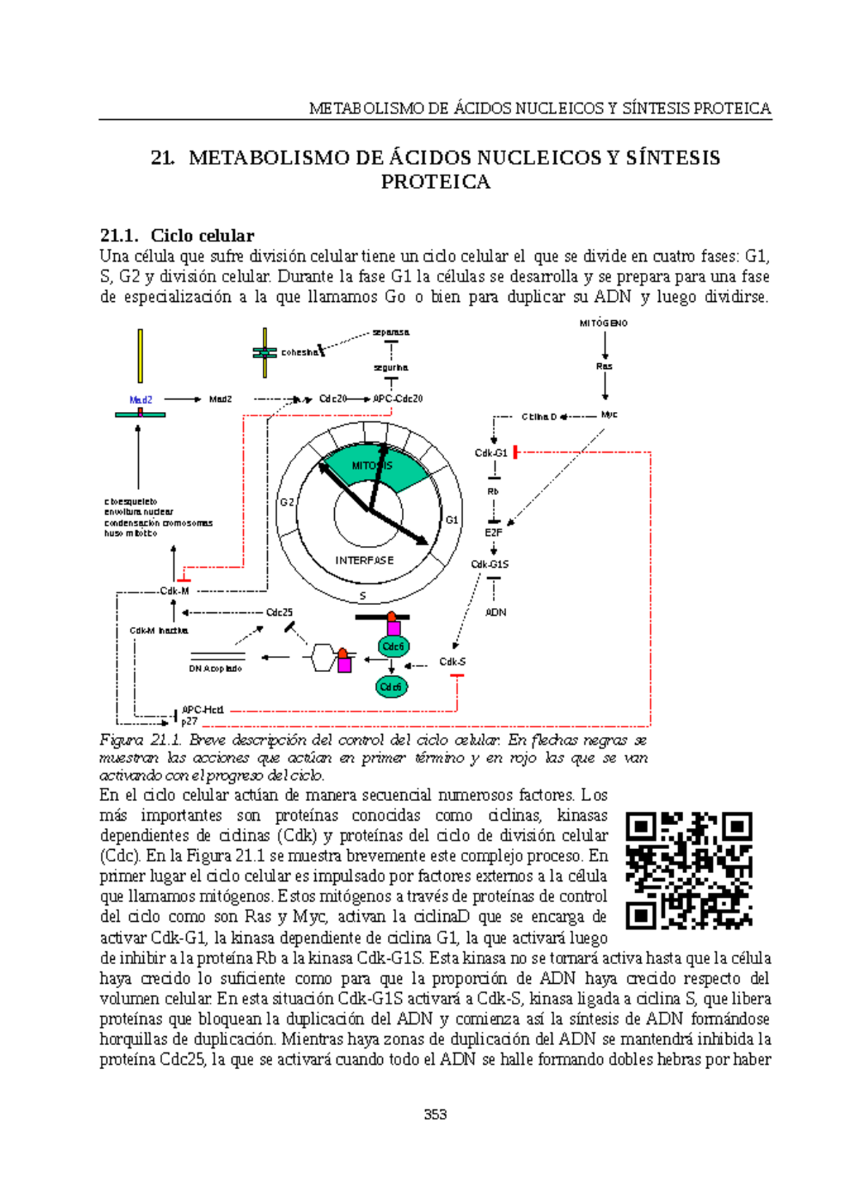 Quimica-Rigalli-Metabolismo de los Acidos Nucleicos y Sintesis de ...