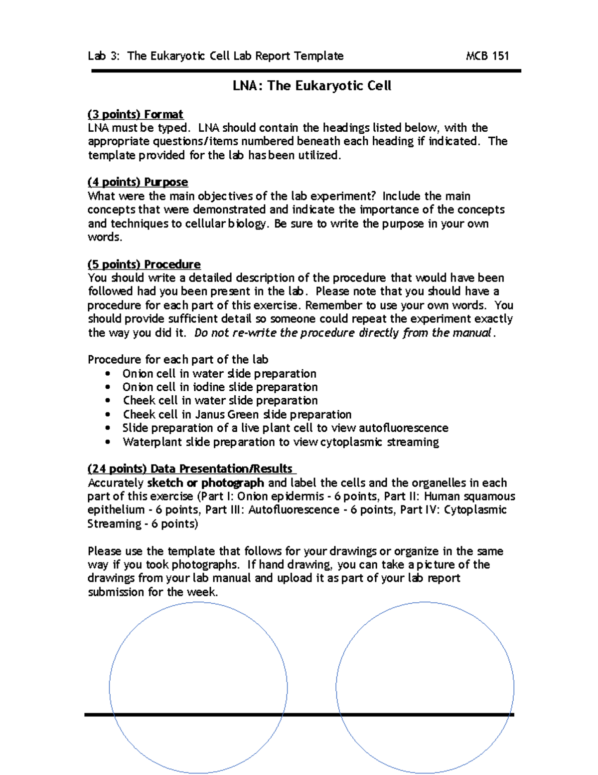LNA Eukaryotes - THElkdkdsfpjwdpog - Lab 3: The Eukaryotic Cell Lab ...