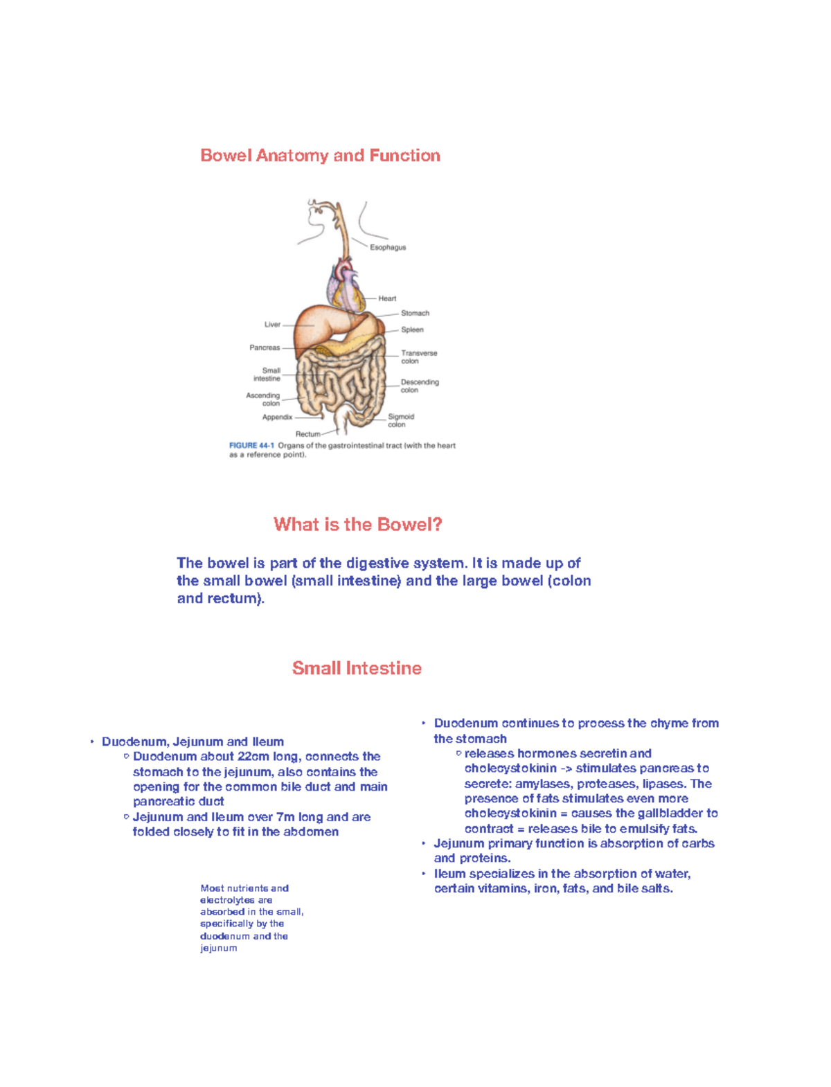 Week 2 fecal elimination - What is the Bowel? The bowel is part of the ...