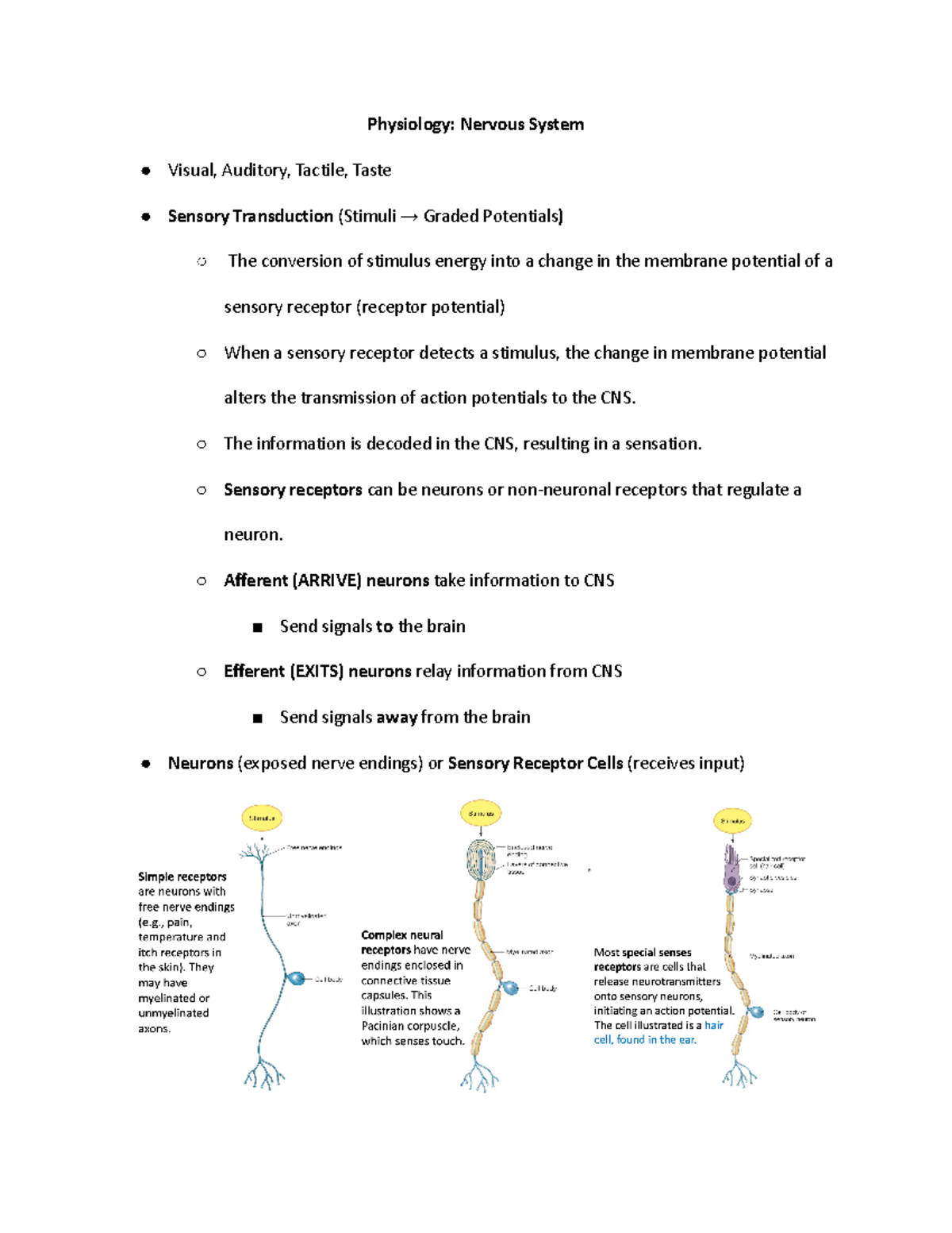 Physiology Unit 3 - Physiology: Nervous System Visual, Auditory ...