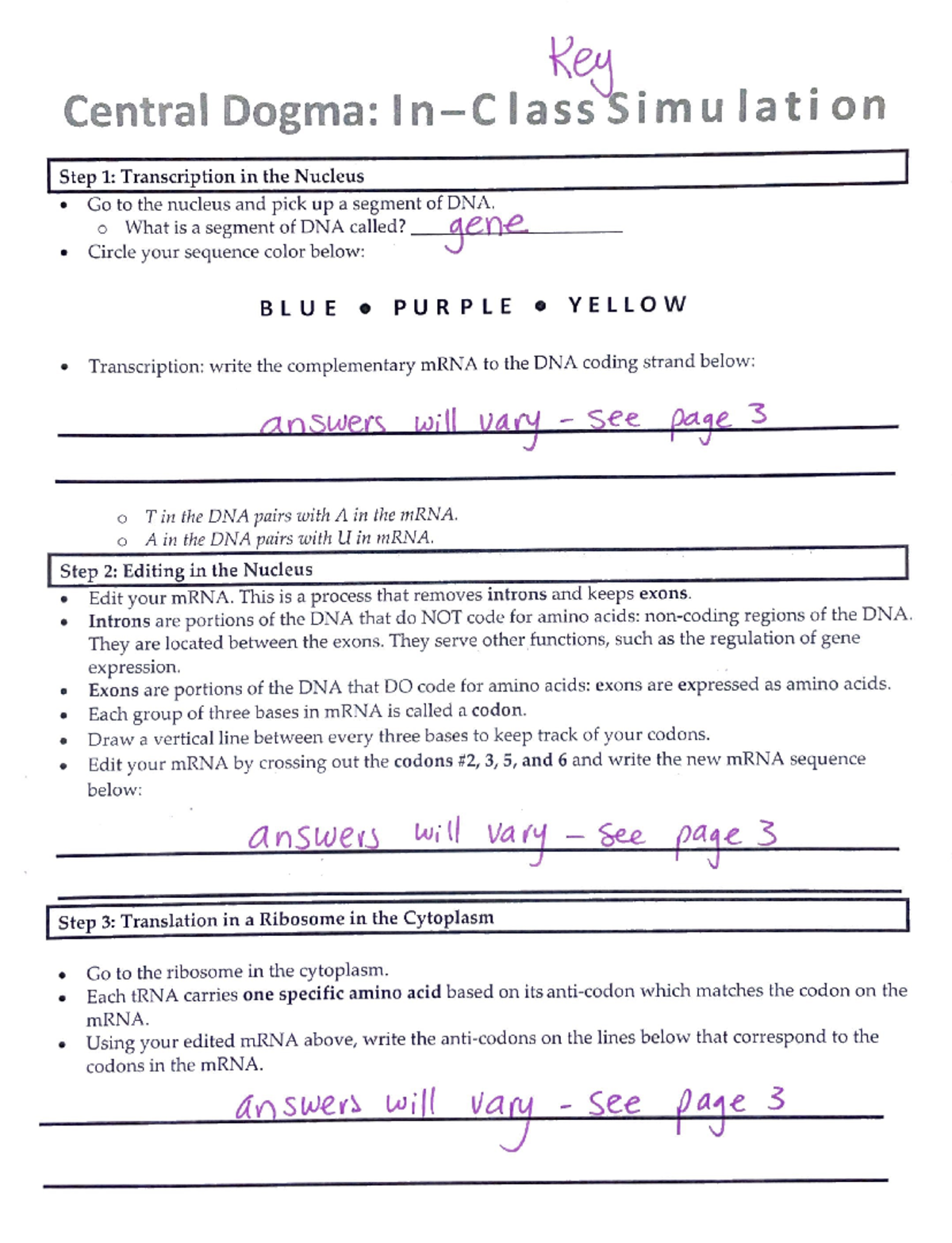 4.10 KEY Central Dogma In Class Simulation - Studocu