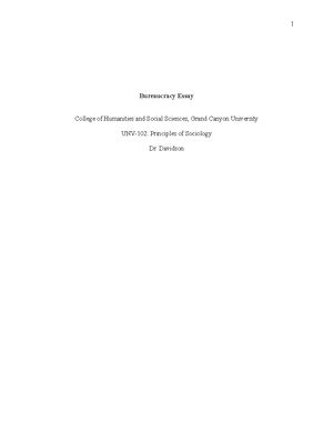 Chapter 11 VOC - Bilateral descent – A kinship system in which both ...