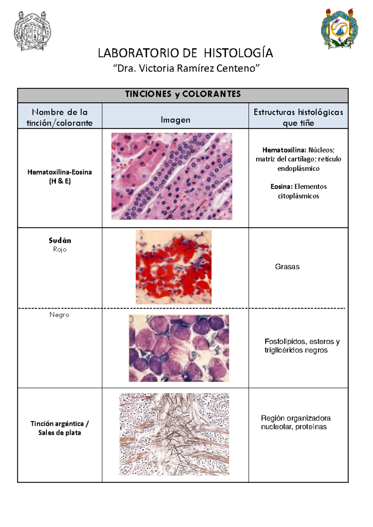 Tinciones - LABORATORIO DE HISTOLOGÍA “Dra. Victoria Ramírez Centeno ...