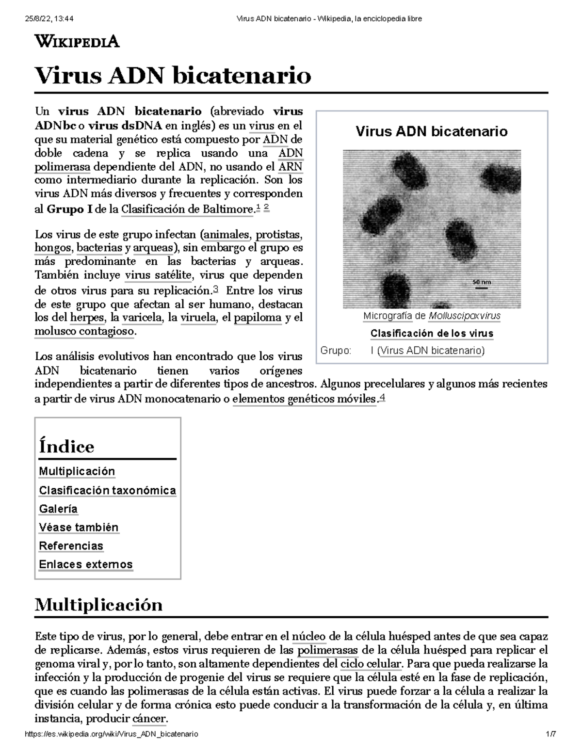 Virus ADN bicatenario - Wikipedia, la enciclopedia libre - Virus ADN bicatenario Micrografía de ...