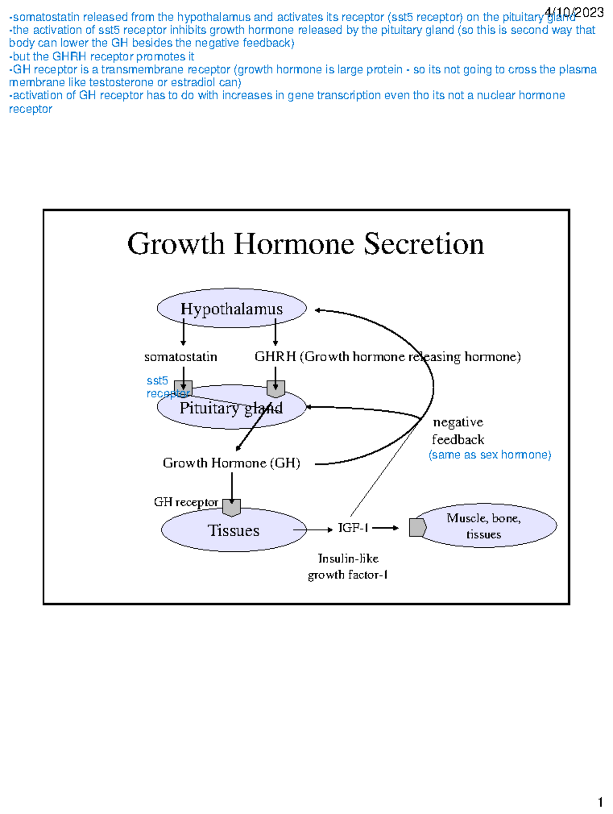 5. PSB454 Spring 2023 Handout 5 1spp - Growth Hormone Secretion ...
