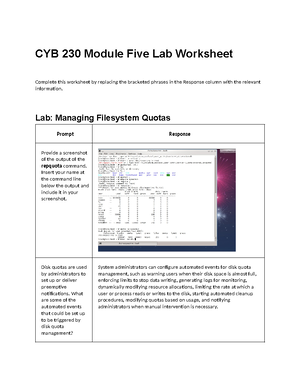CYB 230 Module Four Lab Worksheet - CYB 230 Module Four Lab Worksheet ...