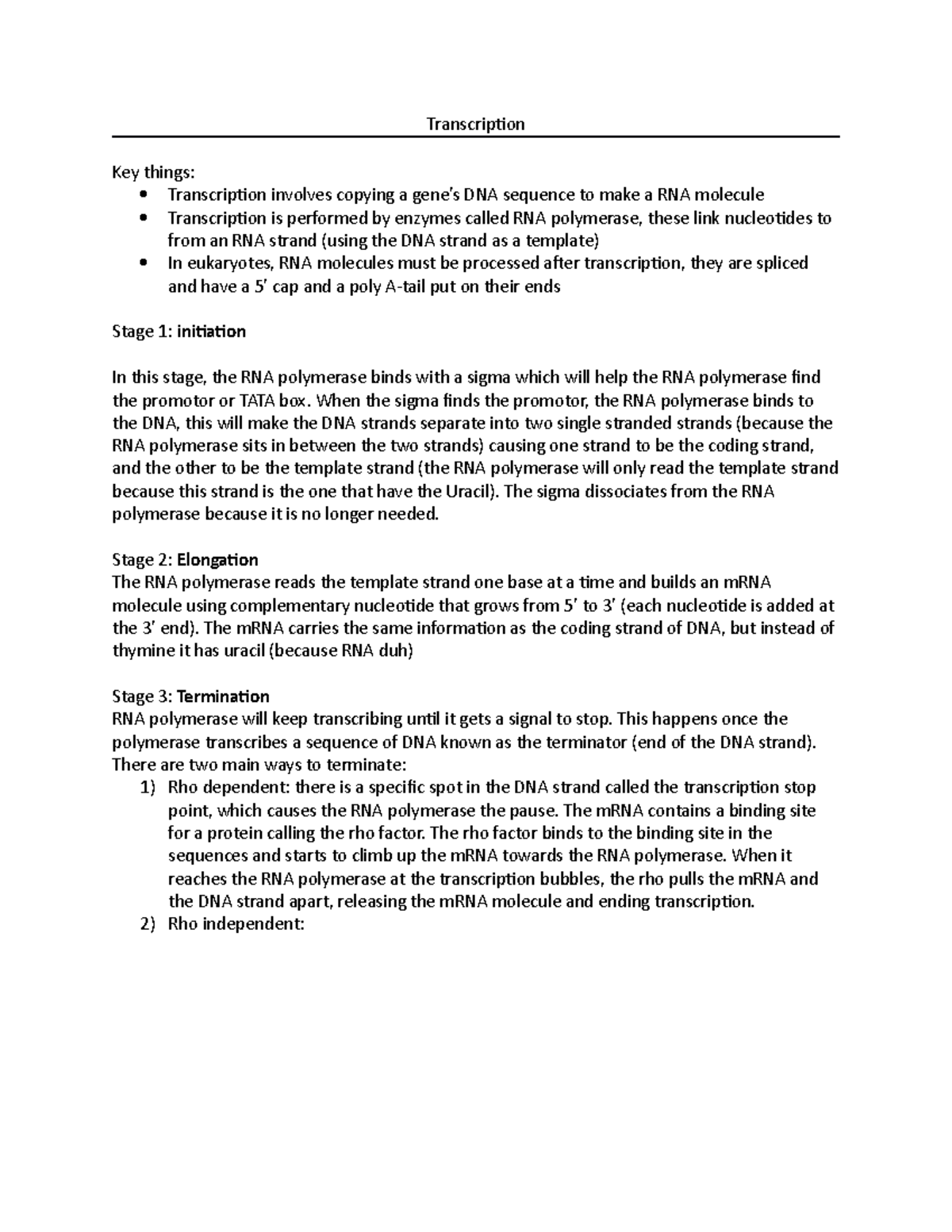 Transcription step by step - Transcription Key things: Transcription ...