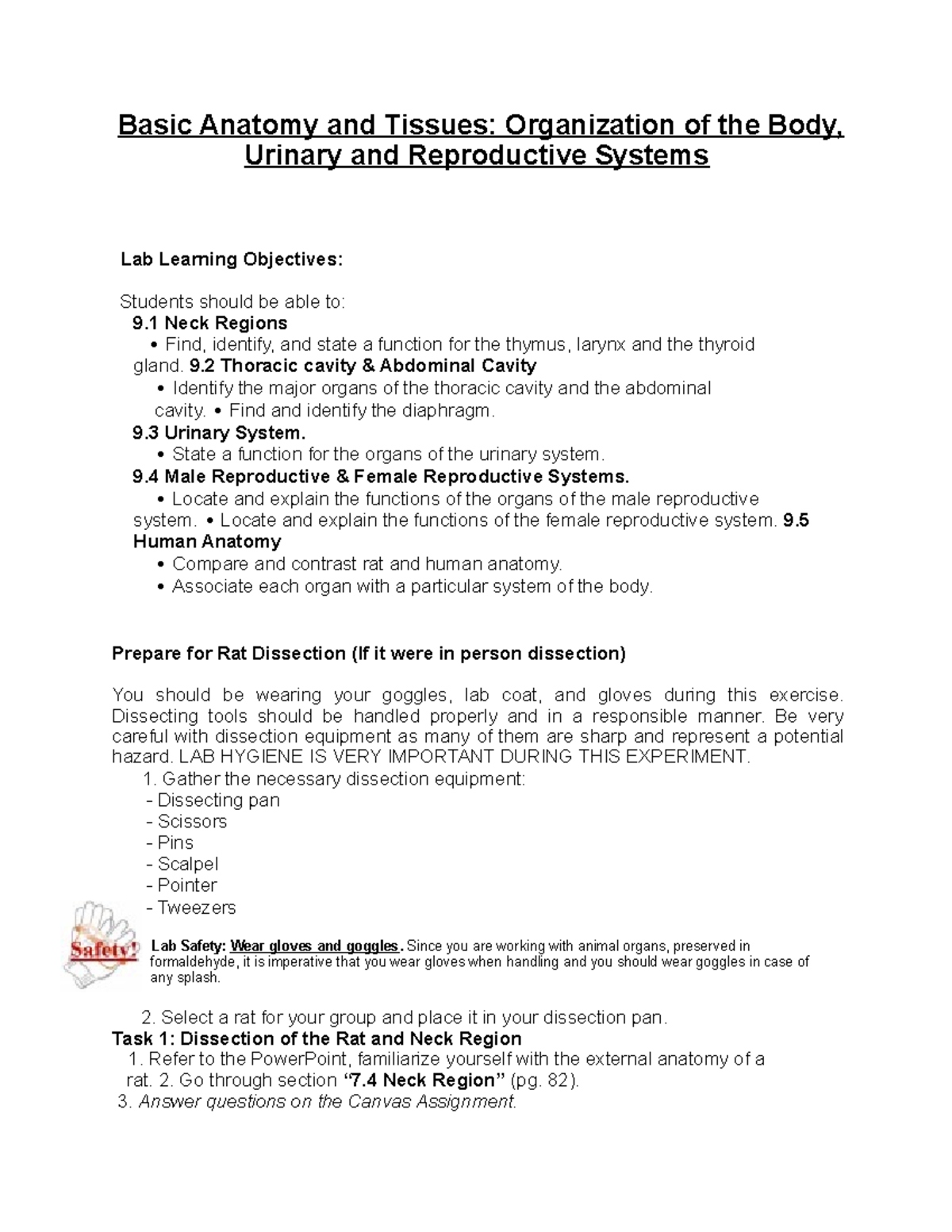 Basic Anatomy and Tissues- Virtual - Basic Anatomy and Tissues ...