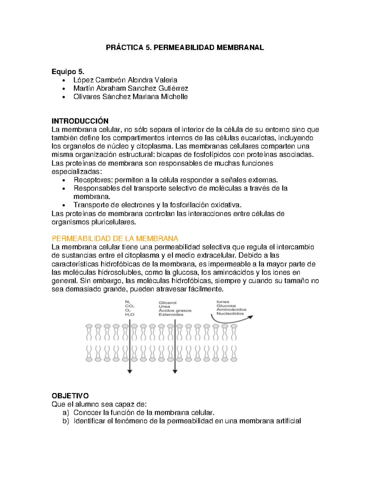 PRÁ Ctica 5 - Con este trabajo sacas 10 - PRÁCTICA 5. PERMEABILIDAD ...
