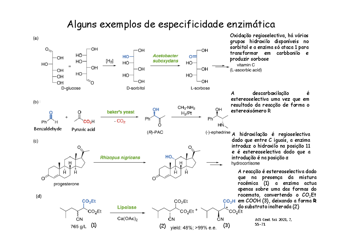 Alguns exemplos de especificidade enzimática soluções propostas ...
