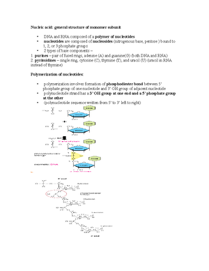 Introduction Notes - What is biotechnology : bio the use of biological ...