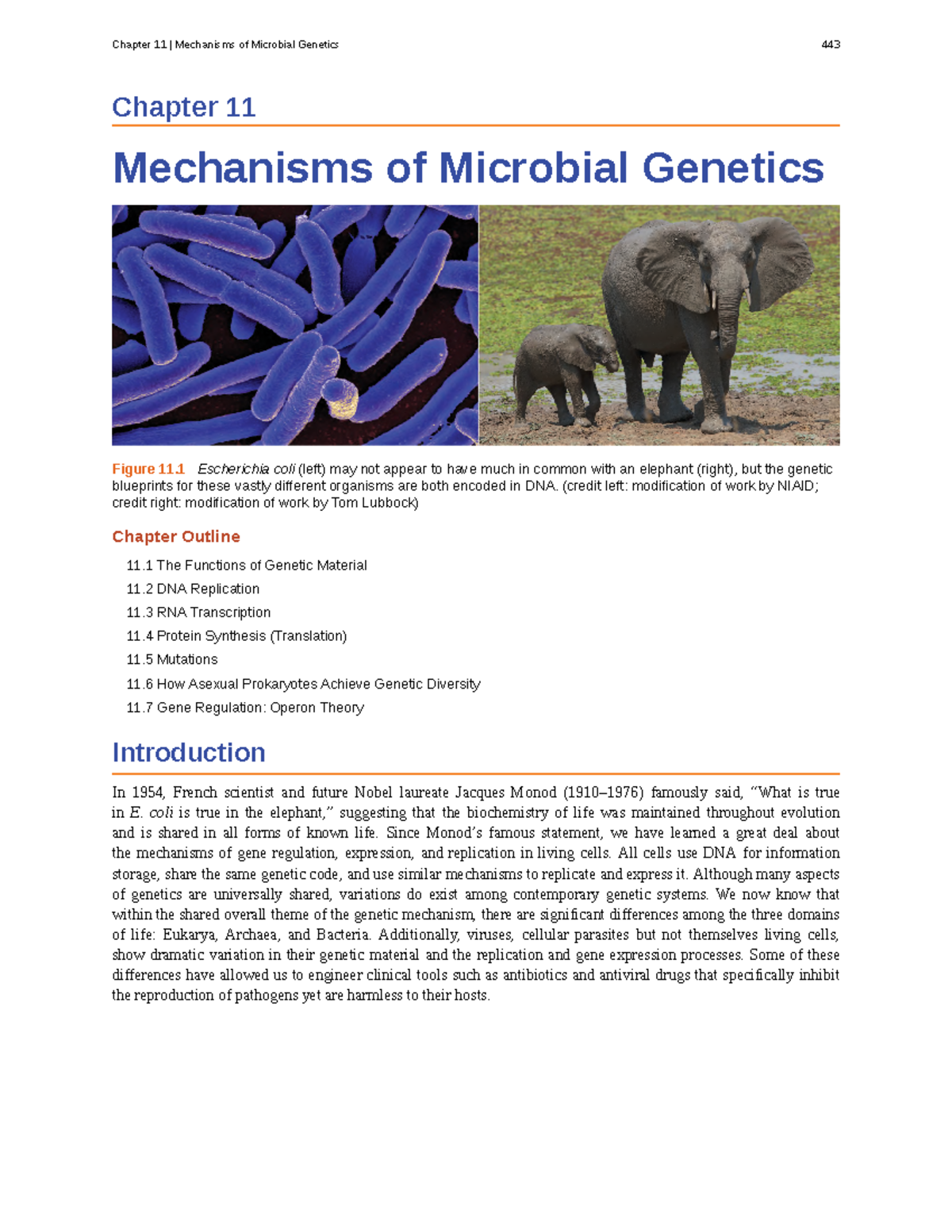 Chapter 18 Mechanisms of Microbial Genetics - Chapter 11 Mechanisms of ...