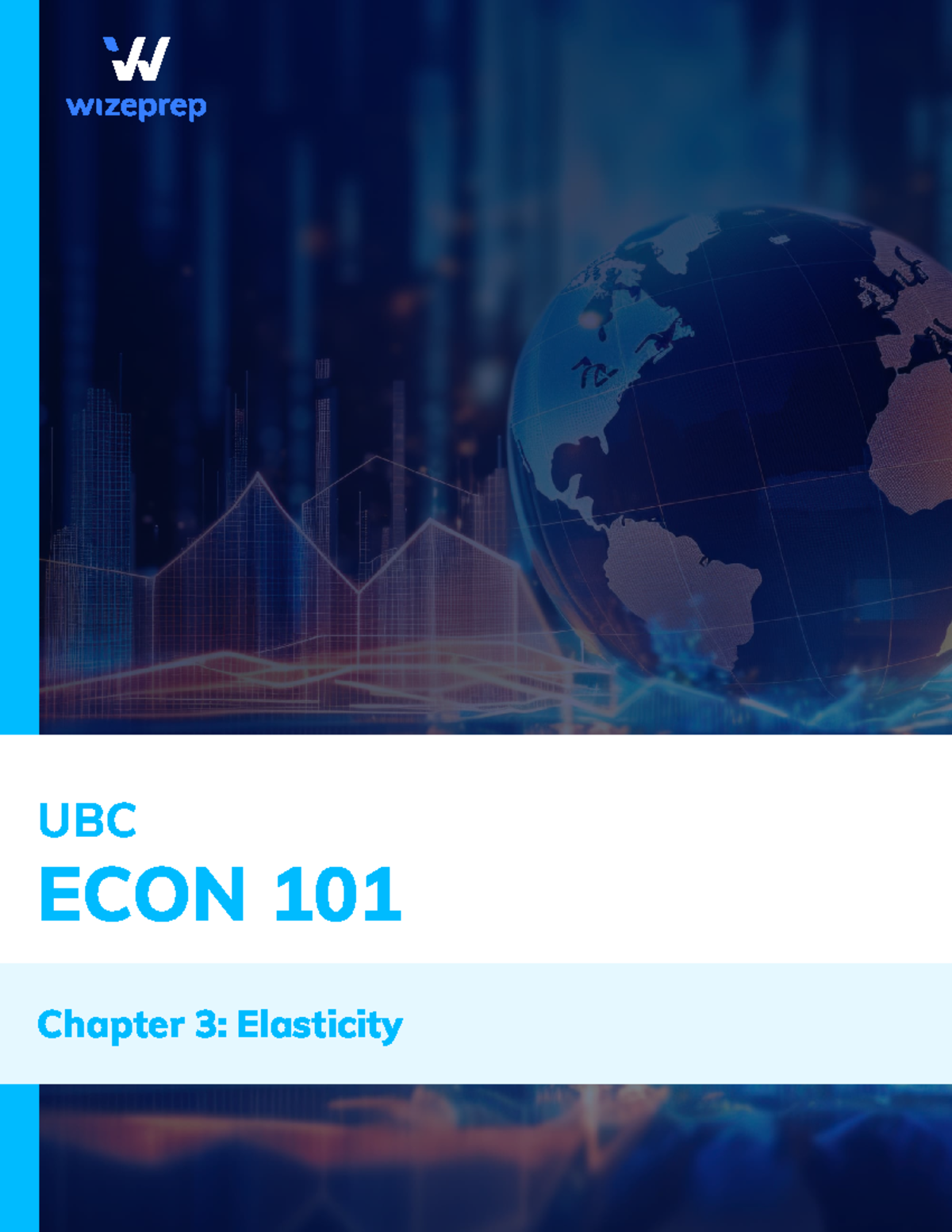 Wize Prep Econ101 Elasticity - © Wizedemy Inc. All Rights Reserved. No part of this publication ...