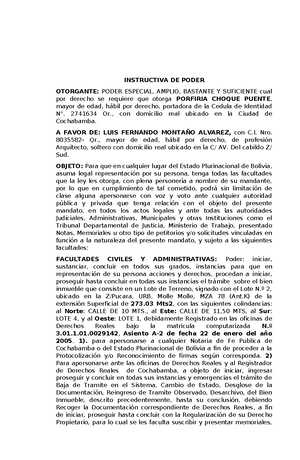 Instructiva DE Poder Divorcio Y Asistencia Familiar Mijail Chimay - INSTRUCTIVO DE PODER: PODER ...