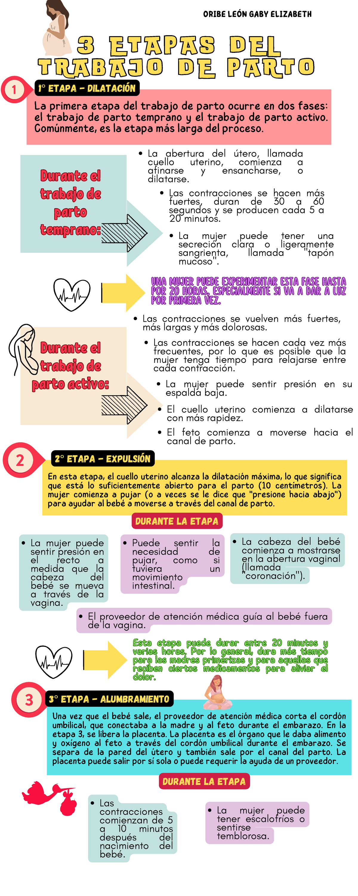 3 etapas de parto - Sesión 03 - 3 E T A P A S D E L T R A B A J O D E P ...