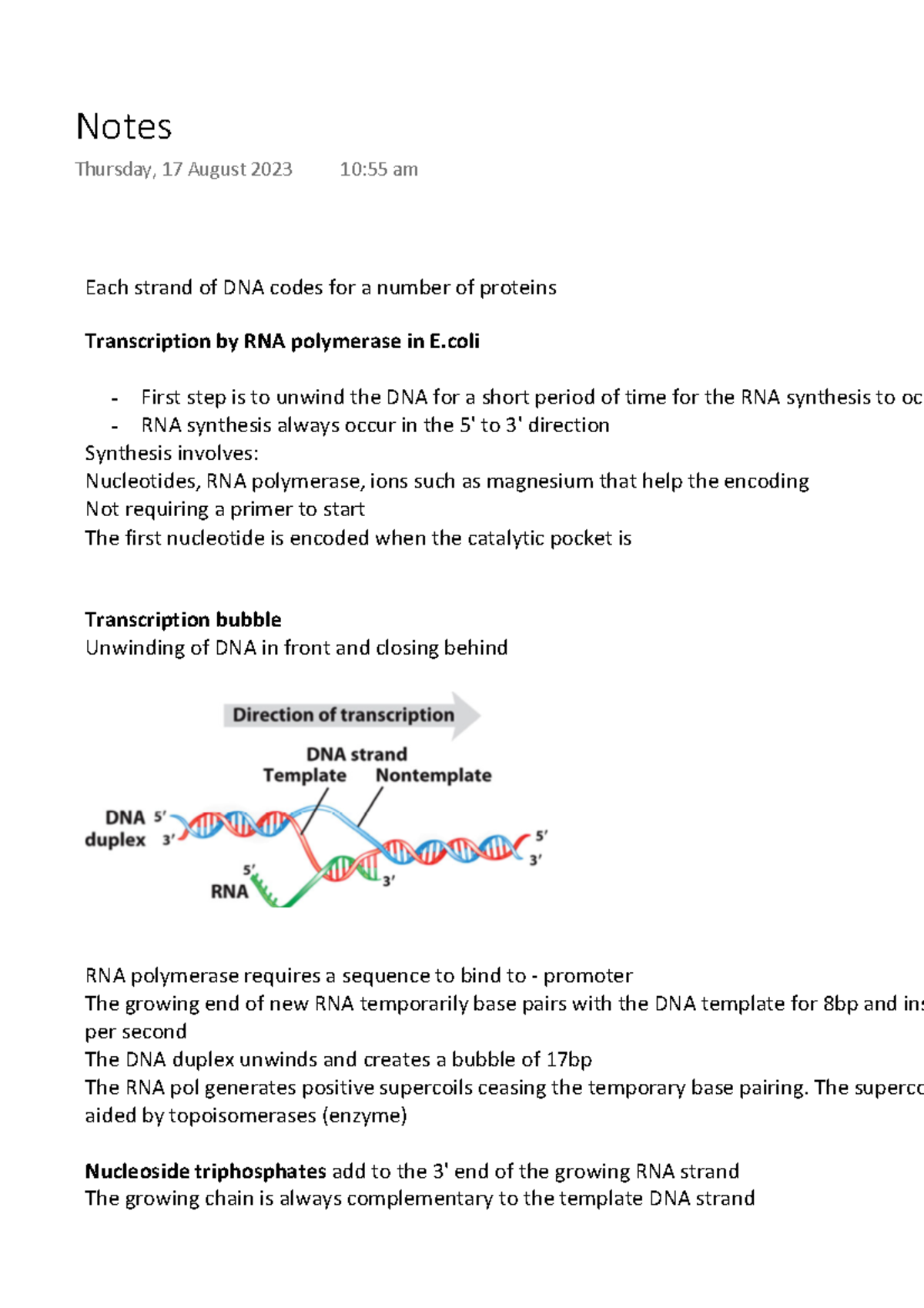 PCR Cloning Notes - Each strand of DNA codes for a number of proteins ...