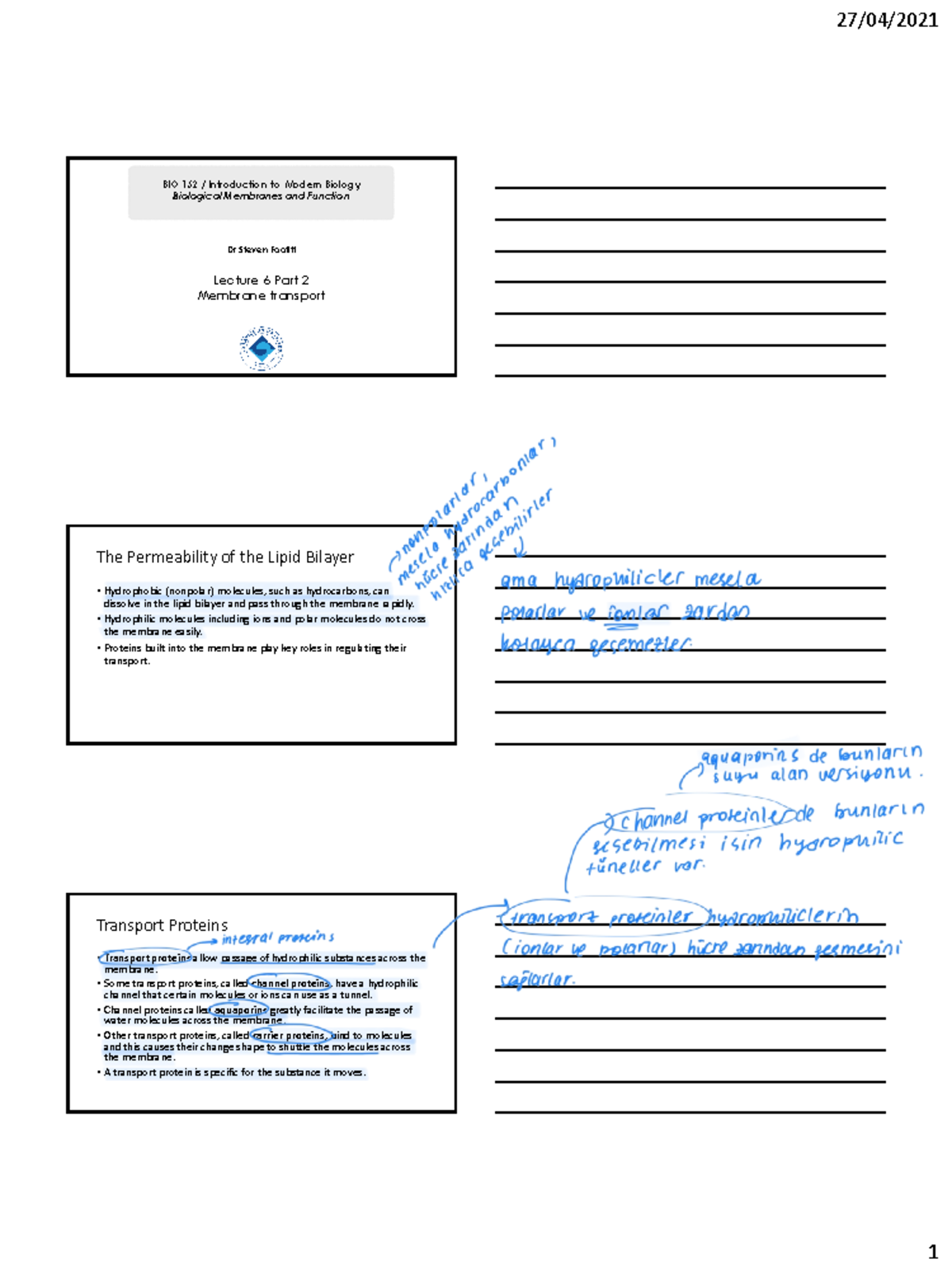 BIO 152 Lecture 6 biological-membranes Part 2 - ####### Dr Steven ...