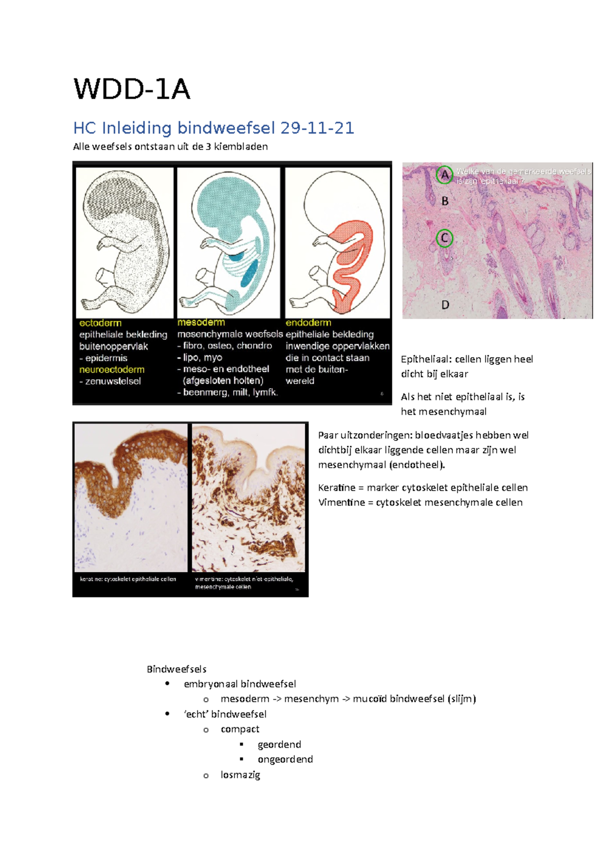 WDD1A - bindweefsel, introductie anatomie, osteogenesis imperfecta ...