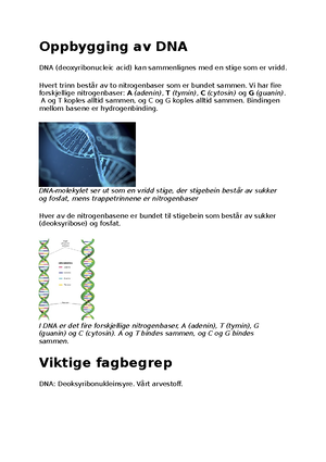 Hva er en metallbinding - Hva er en metallbinding? Bindinger mellom ...