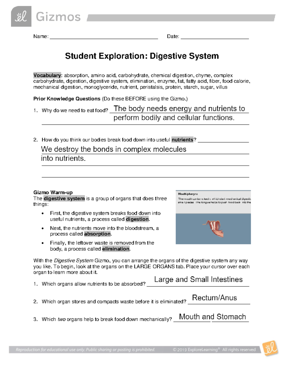 Digestive System SE-3 - ....................... - Name