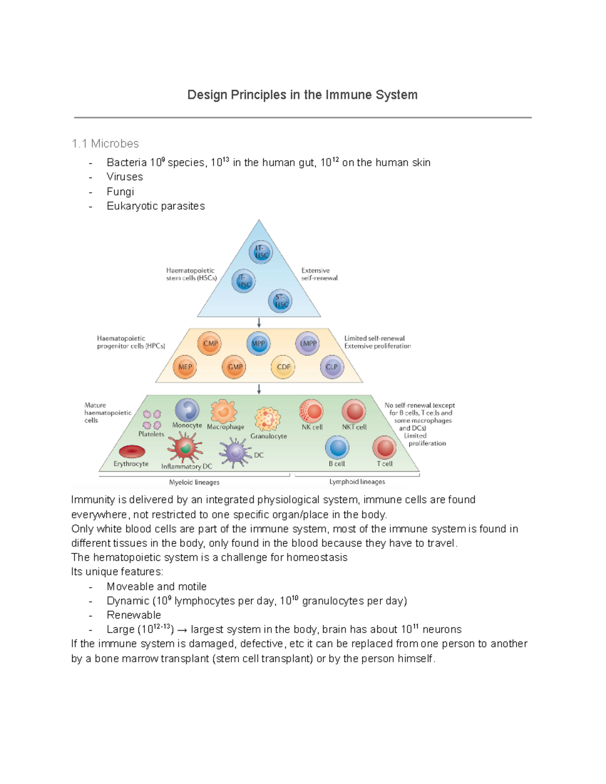 Imm., energy, exercise - Design Principles in the Immune System 1 ...