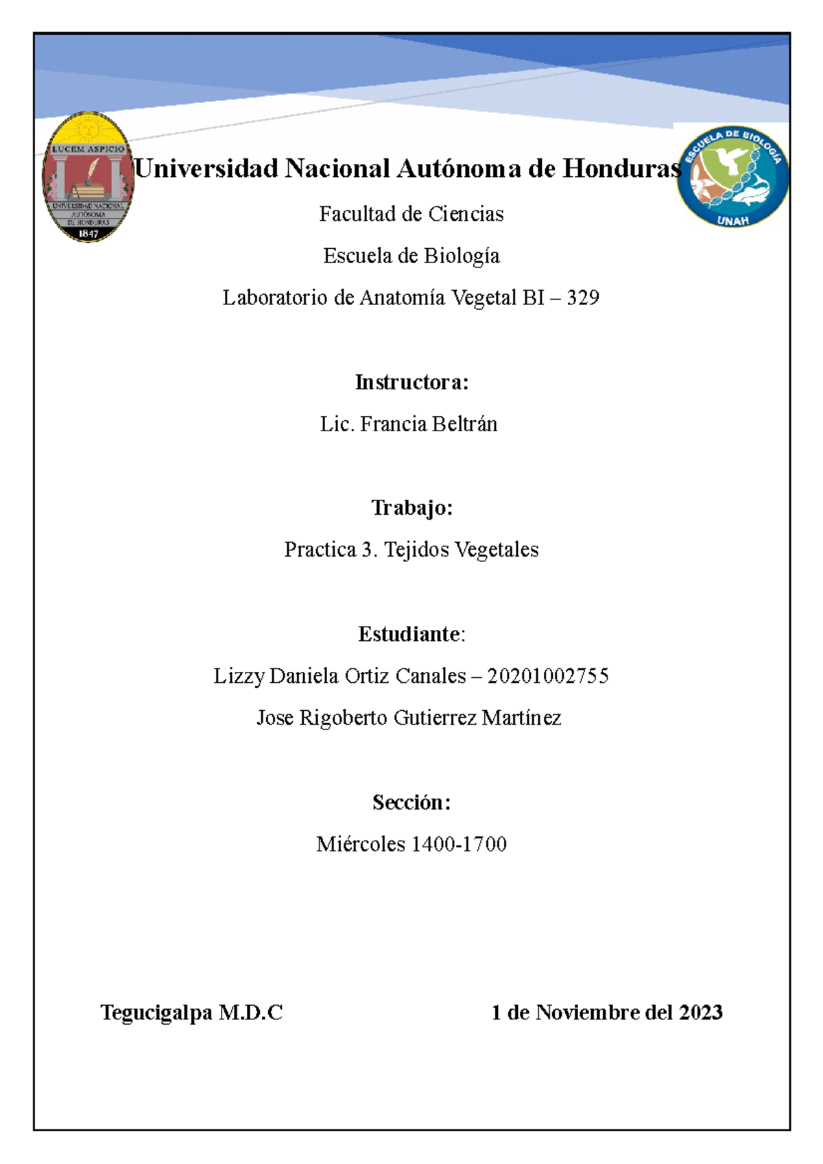 Informe Tejidos - Universidad Nacional Autónoma de Honduras Facultad de ...