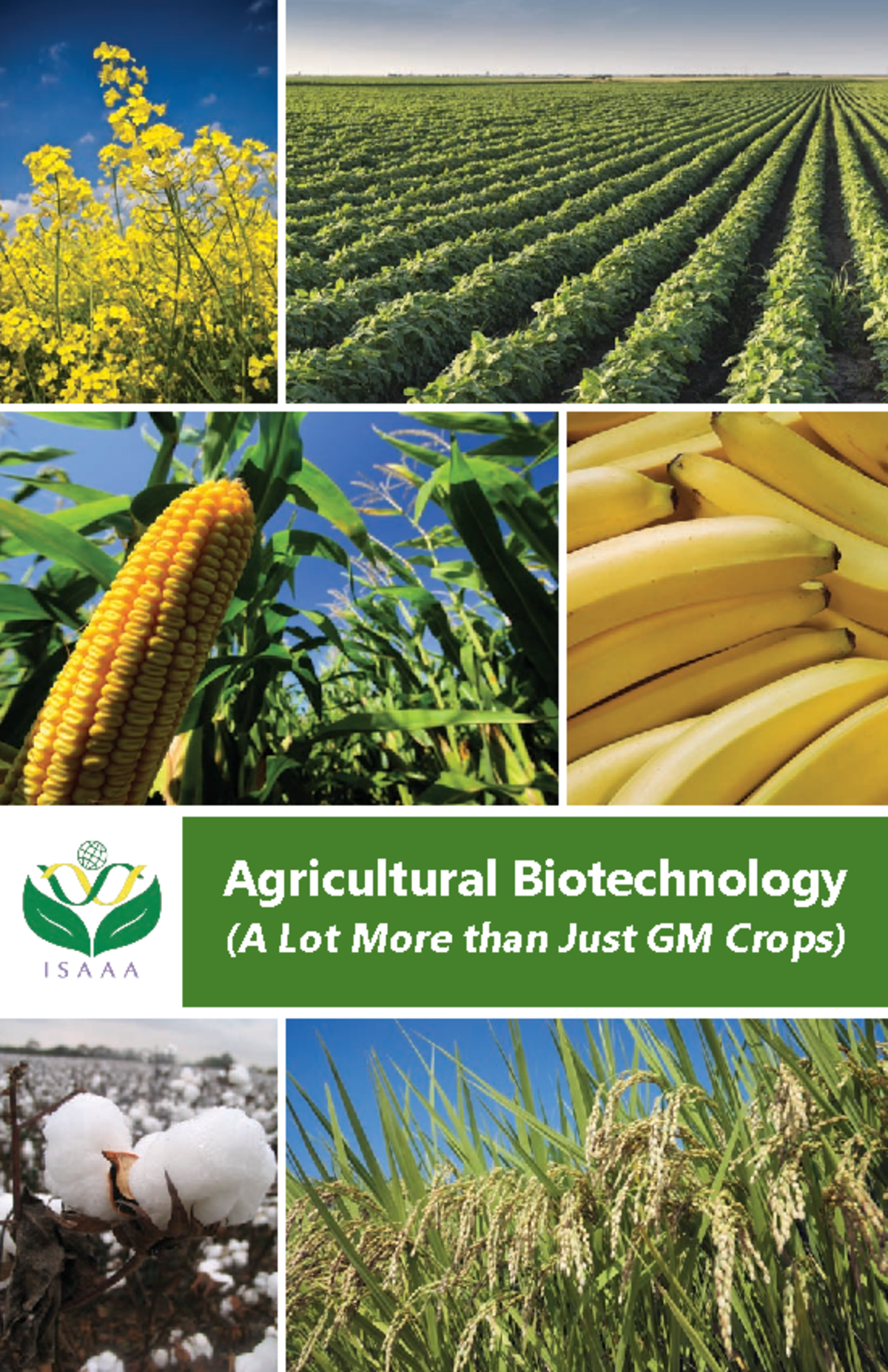 Agricultural biotechnology - (A Lot More than Just GM Crops ...