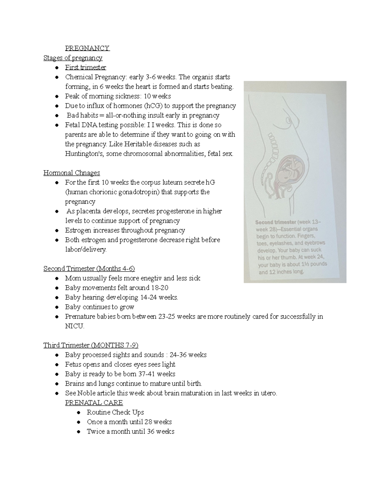 Week 2 - Second week lecture notes - PREGNANCY Stages of pregnancy ...