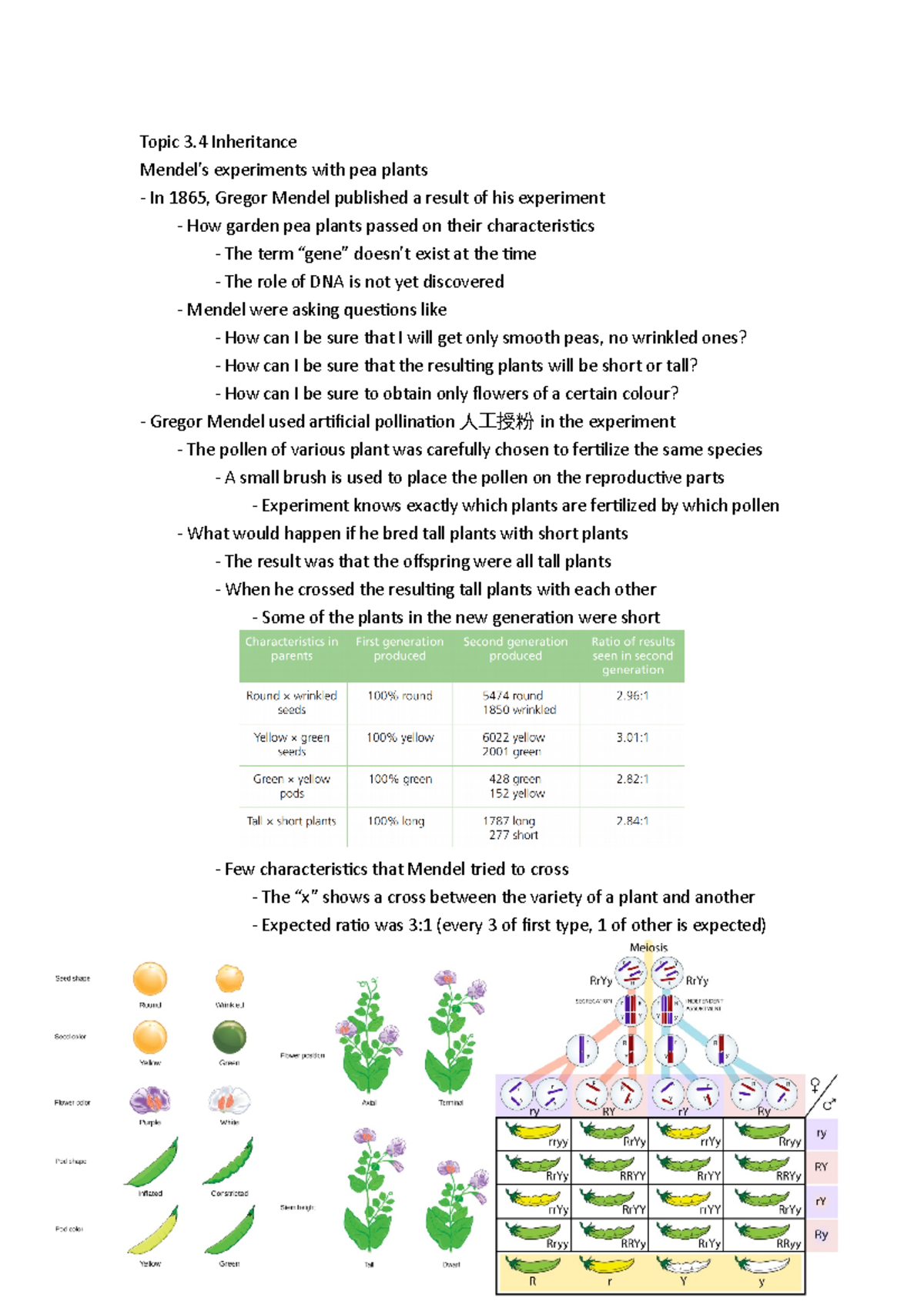 Topic 3.4 review document - Topic 3 Inheritance Mendel’s experiments ...