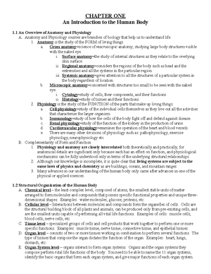 Ch. 20 blood vessels - Mrs Baker's class - CHAPTER TWENTY BLOOD VESSELS ...
