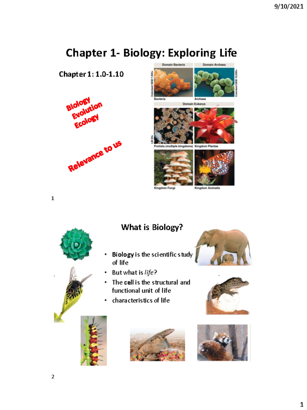 2.1 Lecture 2- slides Chapter 1 - Chapter 1- Biology: Exploring Life ...