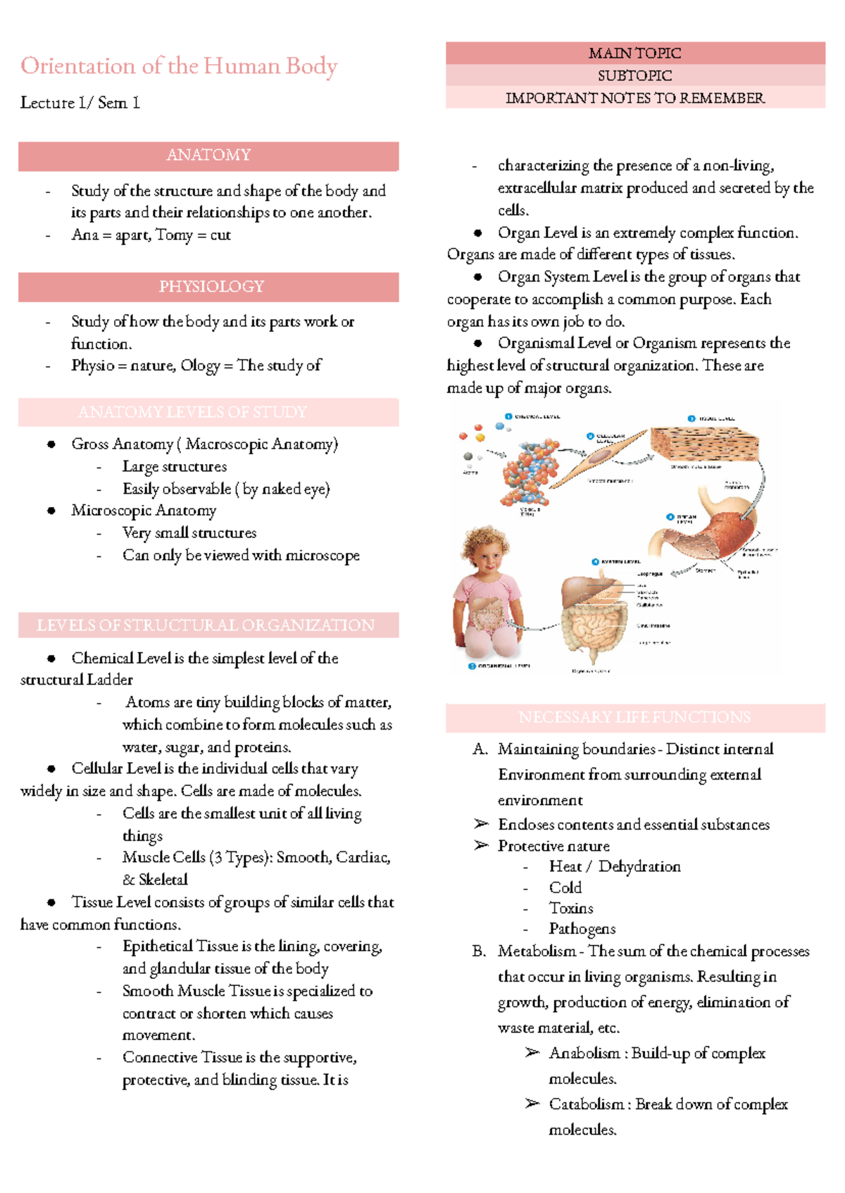 Lecture 1 - Orientation of the human body - Orientation of the Human ...