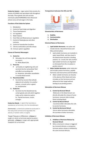 Endocrine System Hormone Case Study Analysis - Studocu
