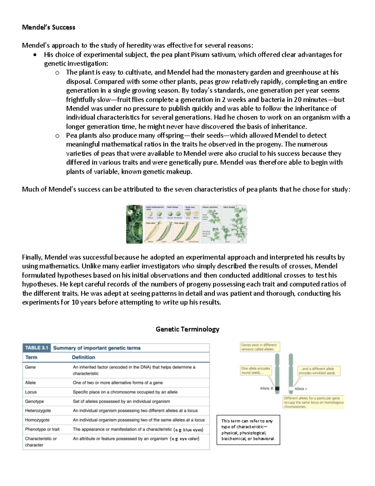 Chapter 3 Notes - Mendel’s Success Mendel’s approach to the study of ...