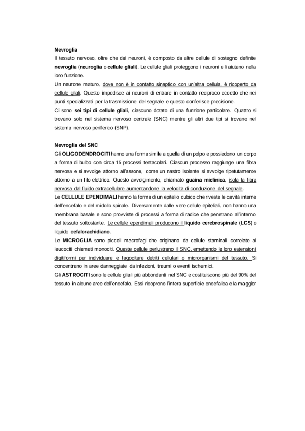 Anatomia lezione - Nevroglia Il tessuto nervoso, oltre che dai neuroni ...