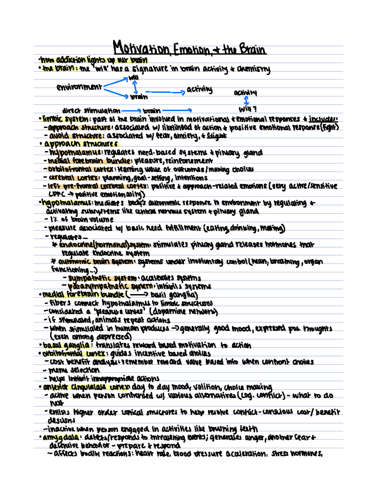 PSY 525 NEW Motivation, Emotion, and the Brain - 3 - Motivation Emotion ...