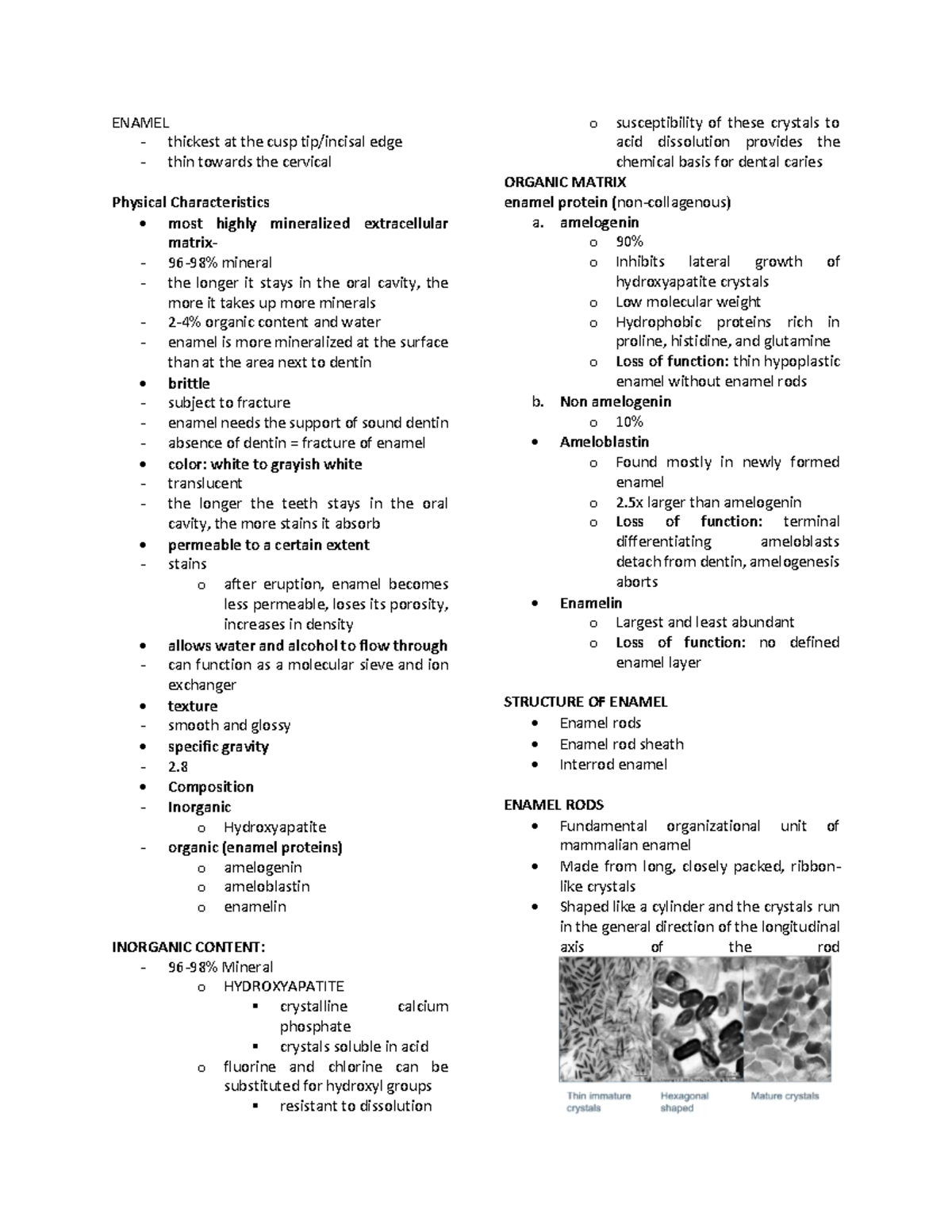 DOH Midterms - Oral Histology Notes - ENAMEL - thickest at the cusp tip ...