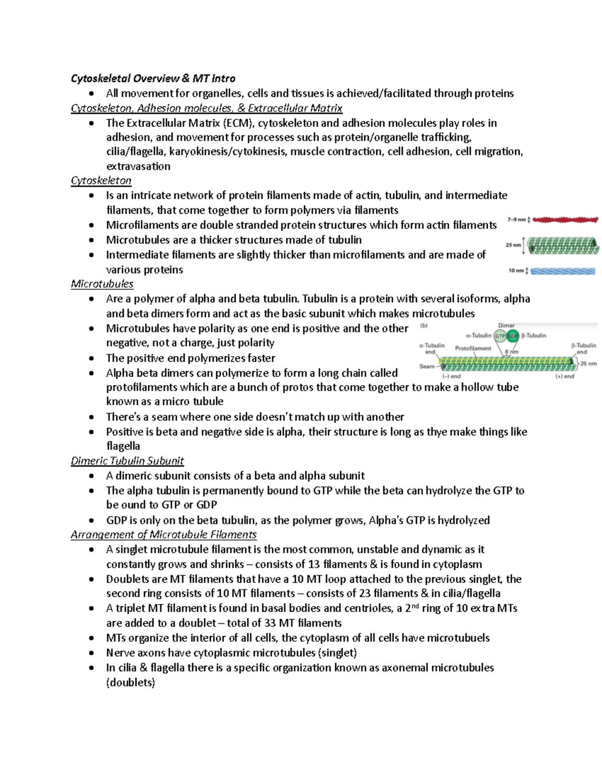 Cell Biology Midterm 2 - Cytoskeletal Overview & MT Intro - All ...